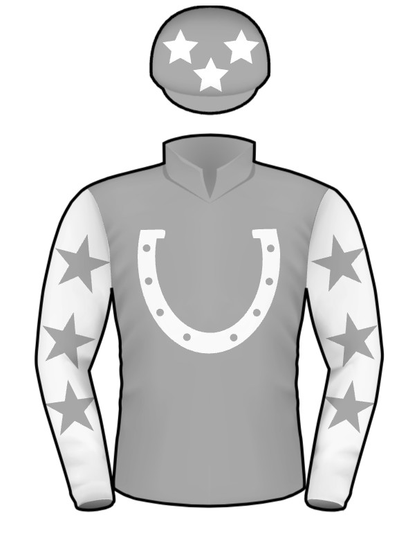 Practical Punting - The Burwood Inn Super Mdn Plate